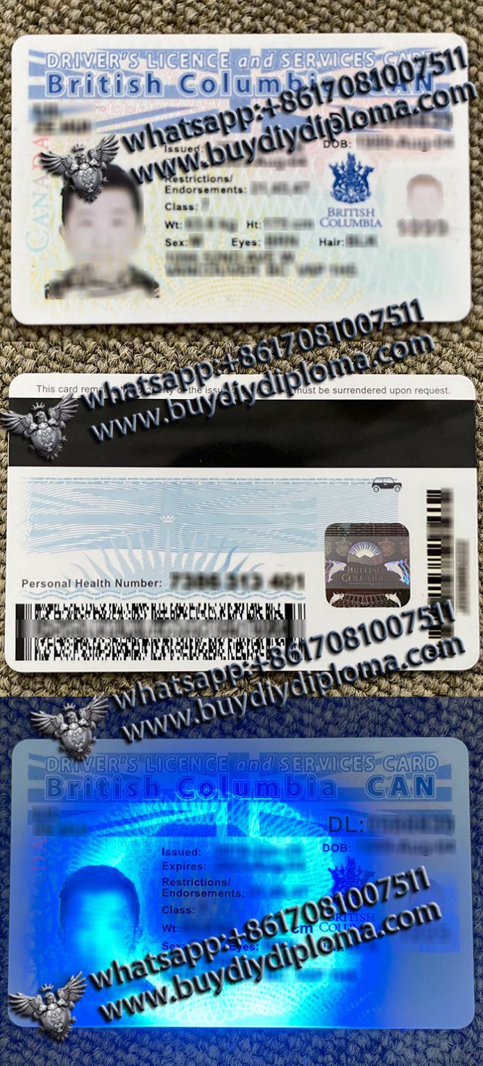 Purchase a High Quality British Columbia scannable Driver license